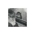 CM before period VS CM in early pregnancy | Netmums