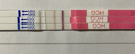 Multiple BFP on internet cheapies, BFN FRER?!