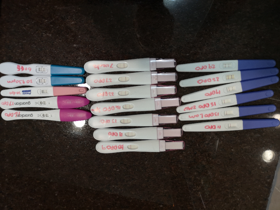 BFP? Line progression - share your pictures