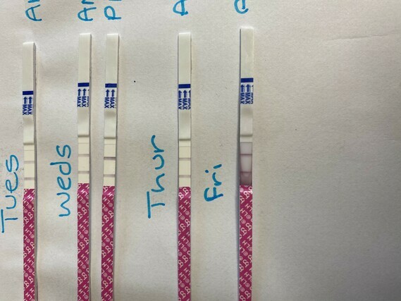 3 positive ovulation tests in 3 days in a row