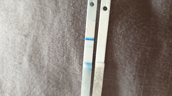 Positive or negative clearblue digital inside test